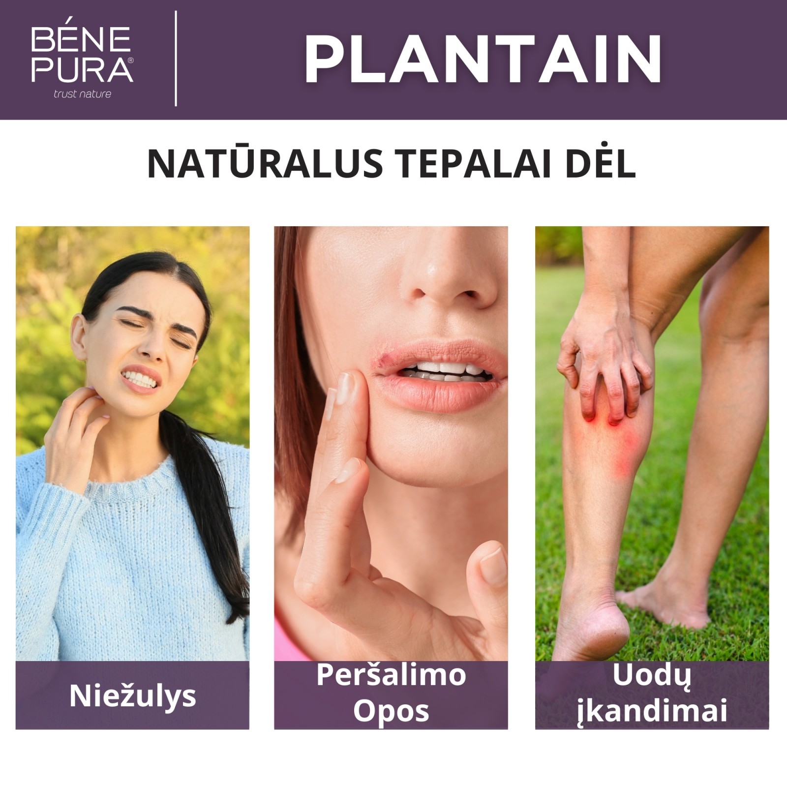 ᐉ Tepalas nuo Niežėjimo su Gyslotis - 40ml - Benepura.lt